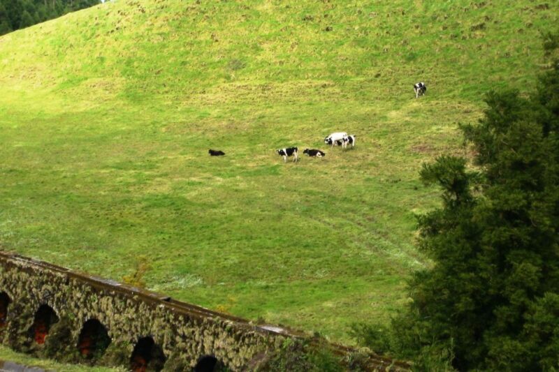 Azores: Sete Cidades Scenic Jeep Tour from Ponta Delgada - The Experience Provider