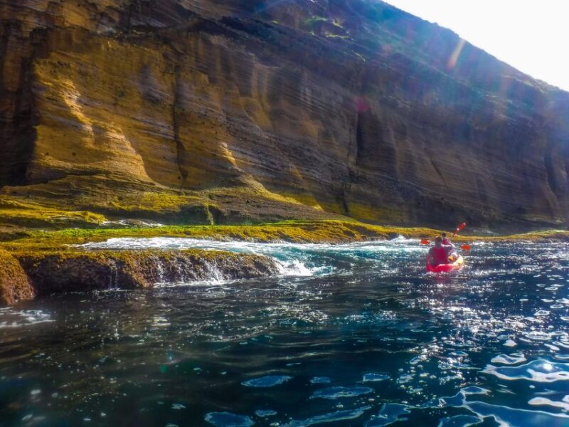 Azores: Vila Franca do Campo Islet Kayaking Experience - Key Points