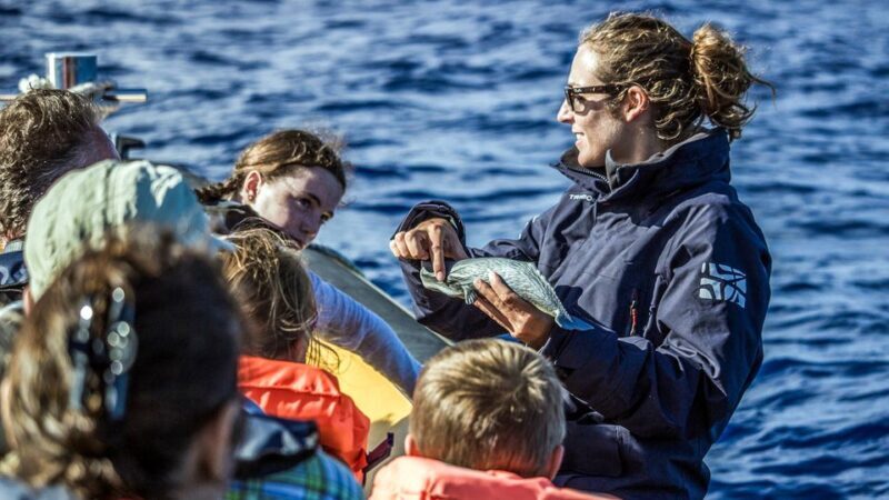 Azores Whale Watching & Islet Boat Tour - The Pros and Cons Based on Real Experiences