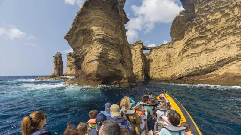 Azores: Whale Watching & Islet Boat Tour w/ Marine Biologist - Key Points