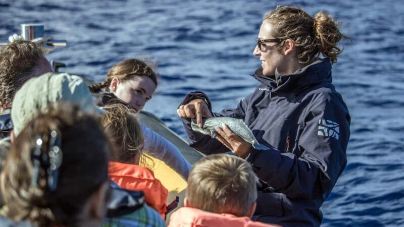 Azores: Whale Watching & Islet Boat Tour w/ Marine Biologist - FAQ
