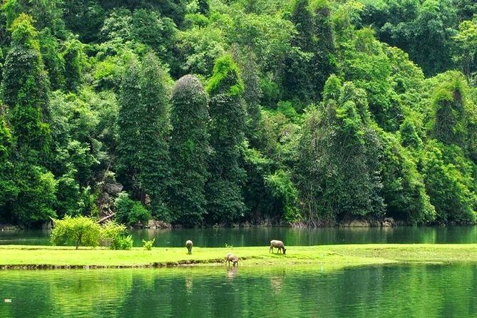 Ba Be Lake 2Day Tour from Hanoi. Trekking, Boat trip, Homestay - Authenticity and Considerations