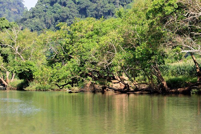 Ba Be Lake & Ban Gioc Waterfall Adventure Tour 3 Days - What Makes This Tour Stand Out?