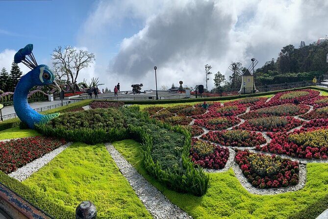 Ba Na Hills & Golden Bridge Tour from Da Nang - A Practical Guide to the Ba Na Hills & Golden Bridge Tour