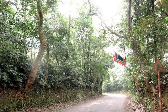 Ba Vi National Park Private Tour: Sightseeings & Jungle Hikking - A Detailed Look at the Itinerary