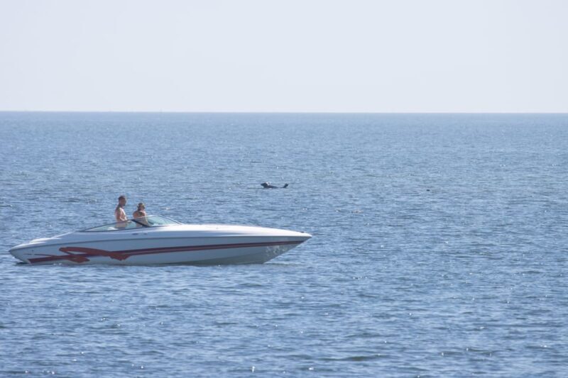 Baabe on Rügen: Seal-Spotting Cruise in the Baltic - The Sum Up