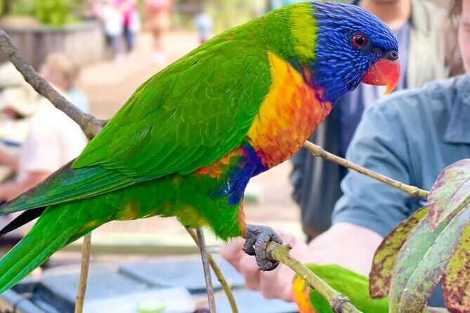 Baby Animals, Boomerangs and BBQ Lunch - An Engaging Introduction at the Meeting Point