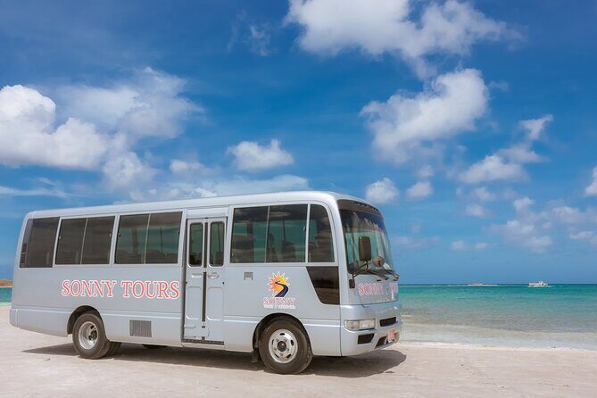 Baby Beach Day Roundtrip - The Journey to Baby Beach: What Makes This Tour Stand Out