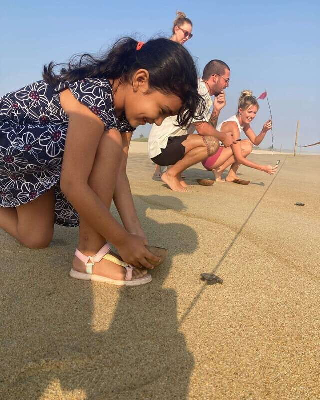 Baby Sea turtles release in Puerto Escondido - The Practical Side: Pricing, Guides, and Logistics