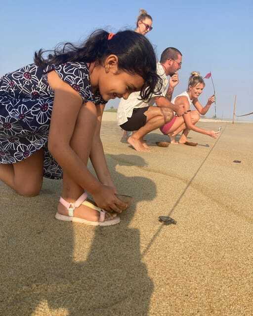 Baby Sea turtles release in Puerto Escondido - Authenticity and Value: What Travelers Say