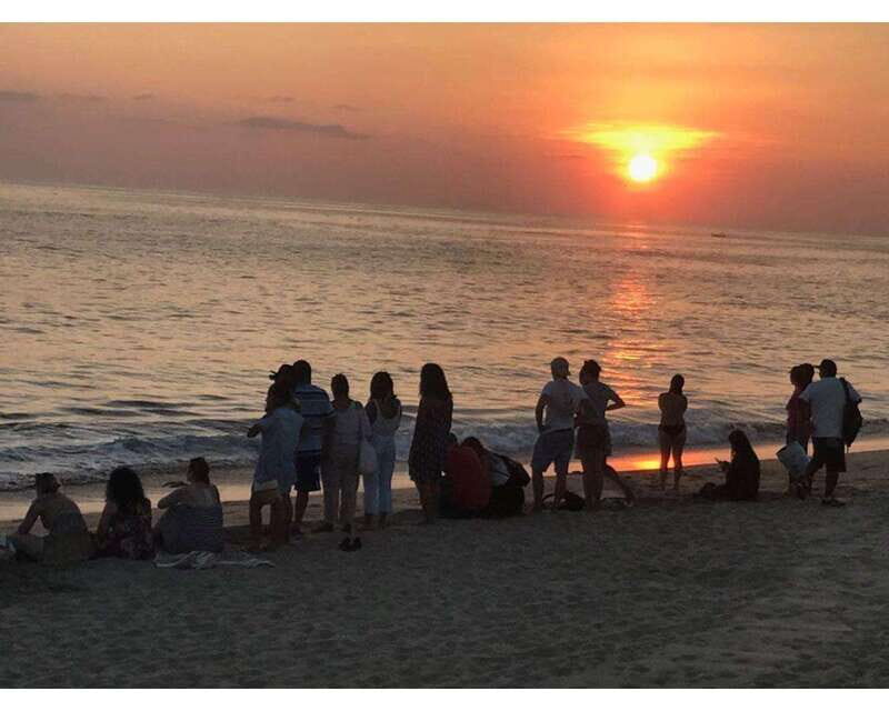 Baby Sea turtles release in Puerto Escondido - Why This Tour Matters for Your Trip