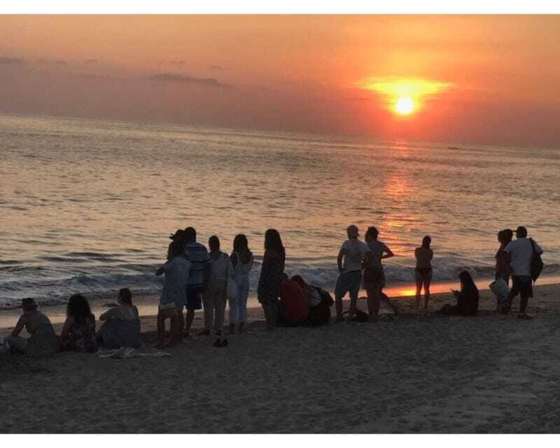 Baby Sea turtles release in Puerto Escondido - FAQ