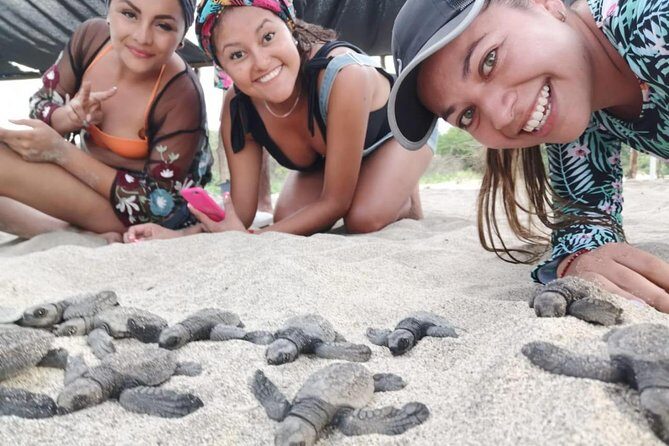 Baby Turtle Release - Introduction: Discovering a Unique Eco-Experience
