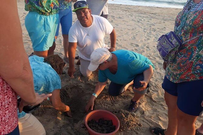 Baby Turtle Release in Coyote Escobilla Beach - A Close Look at the Turtle Release Tour
