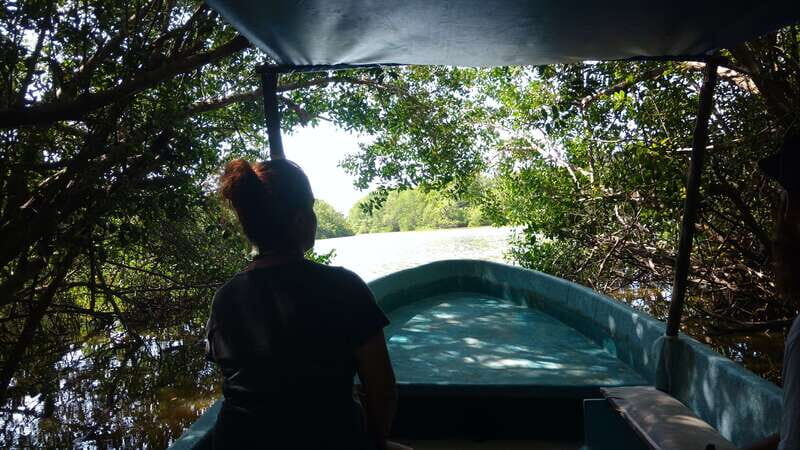 .Baby Turtle Release, Lagoon Boat Ride, and Crocodile Farm - Key Points