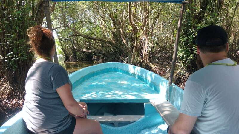 .Baby Turtle Release, Lagoon Boat Ride, and Crocodile Farm - Who Will Love This Tour?