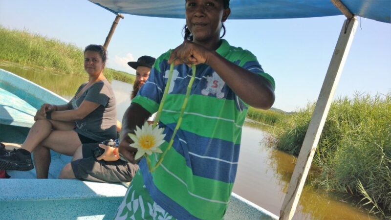 .Baby Turtle Release, Lagoon Boat Ride, and Crocodile Farm - The Sum Up