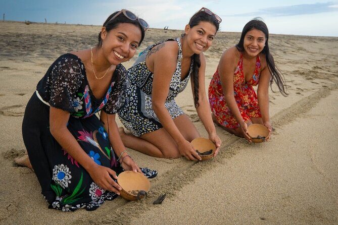 Baby Turtle Release Tour + Pick up + Courtesy in Puerto Escondido! - An In-Depth Review of the Baby Turtle Release Tour