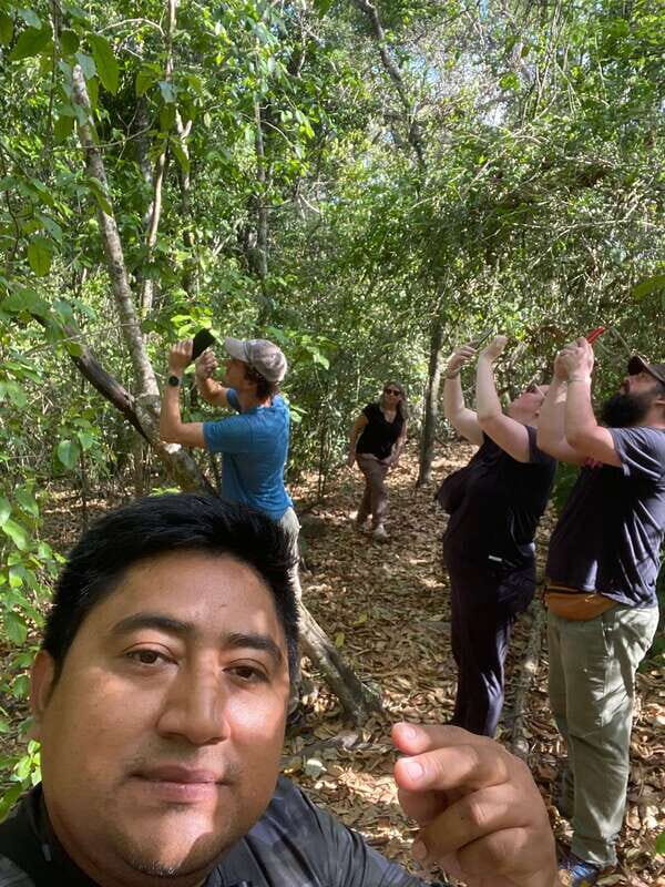 Bacalar: Calakmul Ruins Day Trip with a Stop In The Jungle - The Sum Up