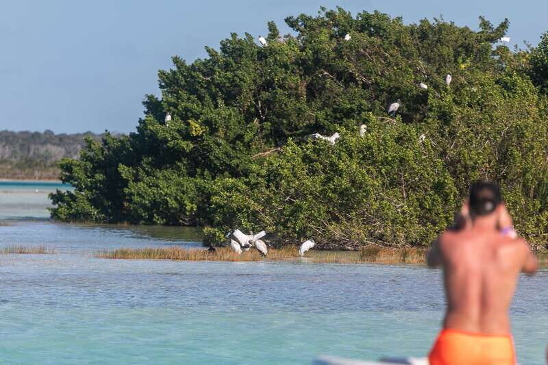Bacalar: Full Day Kayak Rental in the Lagoon of Seven Colors - The Experience on the Water
