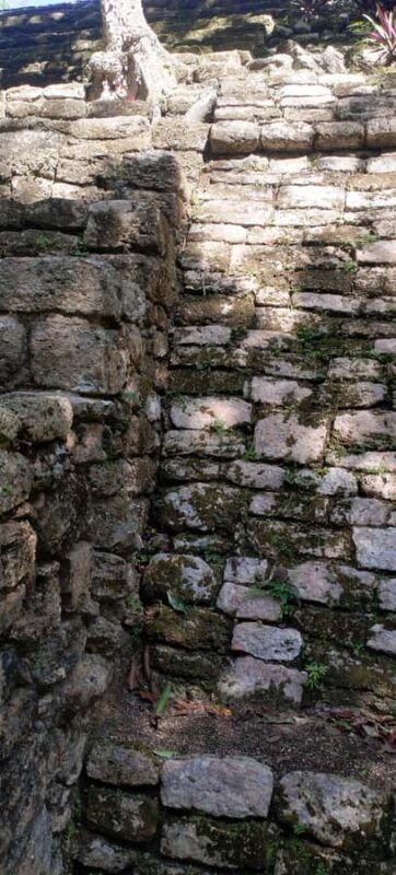 Bacalar: Ichkabal mayan temples & boat tour. - Who This Tour Is Best For