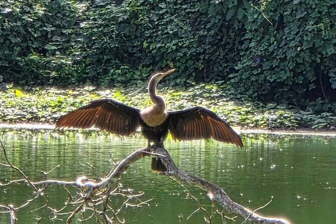 Bacalar Ichkabal Ruins and Boat Tour on the 7 Colors Lagoon - Key Points