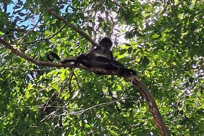 Bacalar Ichkabal Ruins and Boat Tour on the 7 Colors Lagoon - An In-Depth Look at the Tour Experience