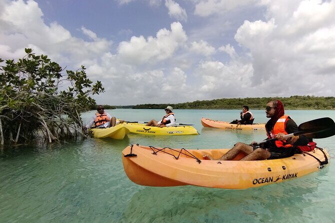 Bacalar Lagoon! Kayaks & Cenote Azul From Playa Del Carmen - A Closer Look at the Itinerary