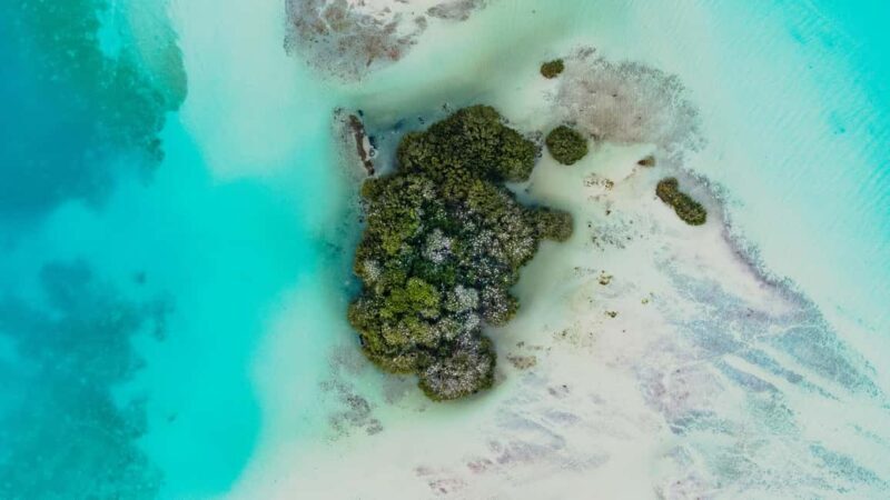 Bacalar Lagoon Sailing Tour with Open Bar and Mexican Lunch - The Sum Up