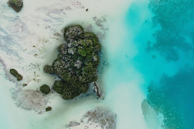 Bacalar Lagoon Sightseeing Boat Tour with Open Bar and Snacks - Starting Point and Logistics