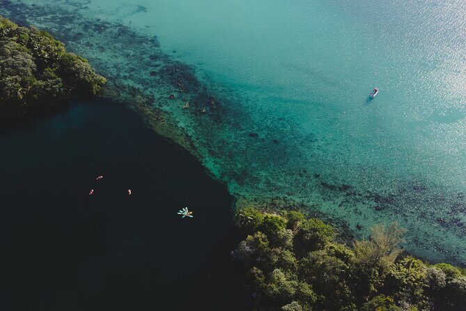 Bacalar Lagoon Sightseeing Boat Tour with Open Bar and Snacks - Practical Tips to Get the Most Out of the Tour