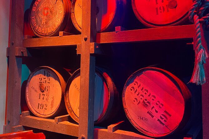 Bacardi Rum Distillery and Old San Juan Tour - Who Should Consider This Tour?