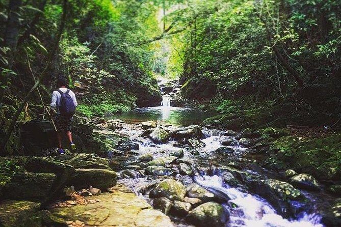 Bach Ma National Park 2-Day Trekking Private Tour - Day Two: Deeper Into Nature and Wildlife