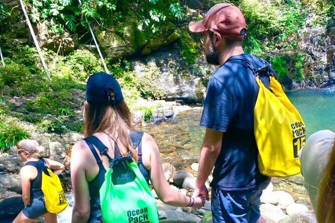 Bach Ma National Park Daily Trekking From Da Nang - Starting the Day: Pickup and Journey to Nature