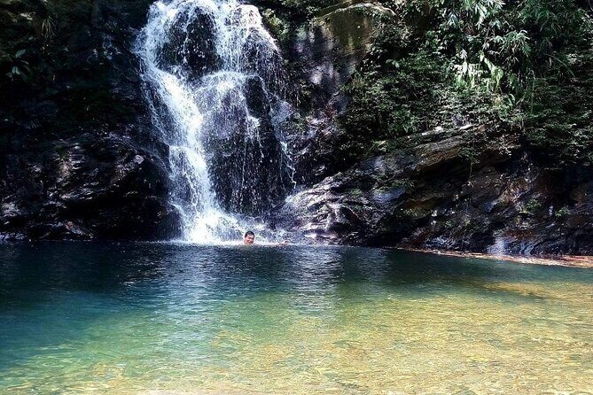 Bach Ma National Park Daily Trekking From Da Nang - Who Is This Tour Best For?