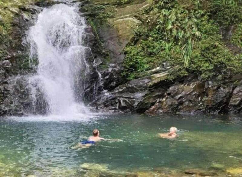 Bach Ma National Park: Day Trek Private Tour - Hoi An/DaNang - A Deep Dive into the Experience