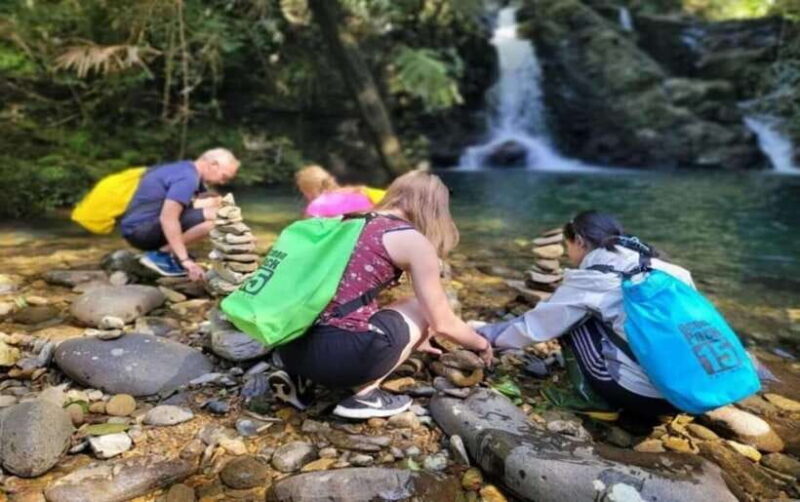 Bach Ma National Park: Day Trek Private Tour - Hoi An/DaNang - Authentic Feedback from Travelers