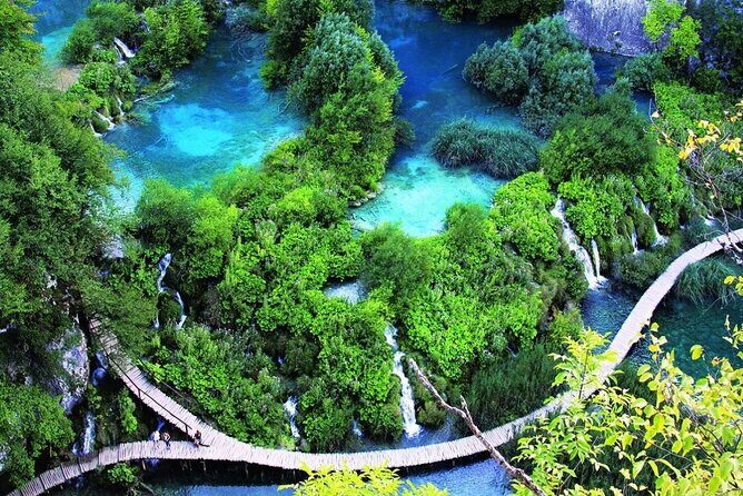 Bach Ma National Park Nature Sightseeing & Trekking Day Tour - Key Points