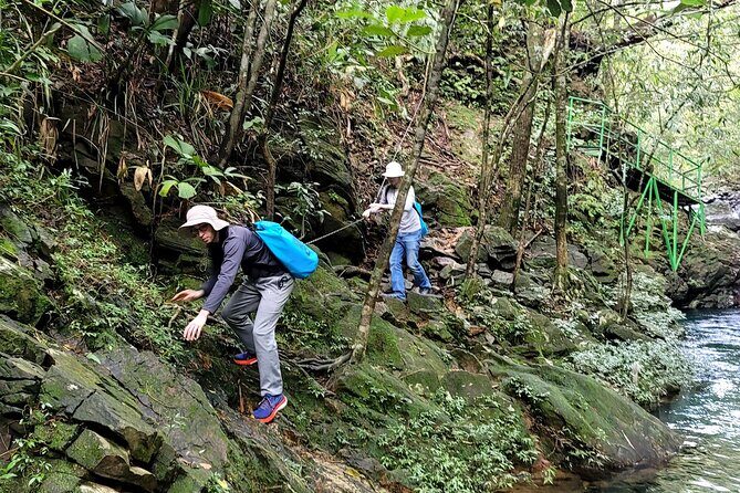 Bach Ma National Park trekking daily tour from Da Nang, Hoi An - Who Will Love This Tour?