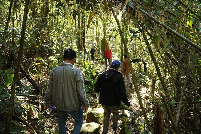 Bach Ma National Park trekking daily tour from Da Nang, Hoi An - Frequently Asked Questions