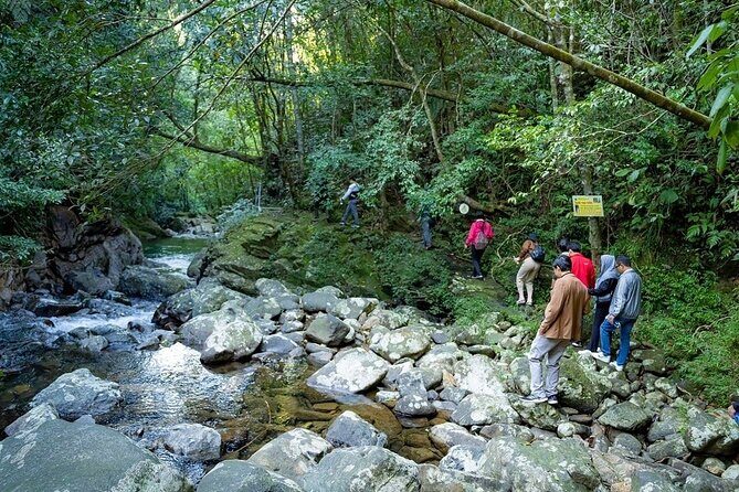 Bach Ma National Park Trekking Tour 1 Day From Hue City - FAQ