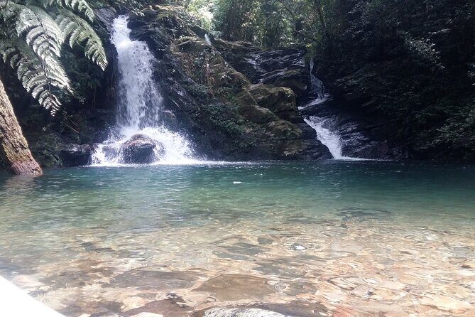 Bach Ma National Park Trekking Tour 1 Day From Hue city, Vietnam - An Immersive Day in Hue’s Natural Wonder