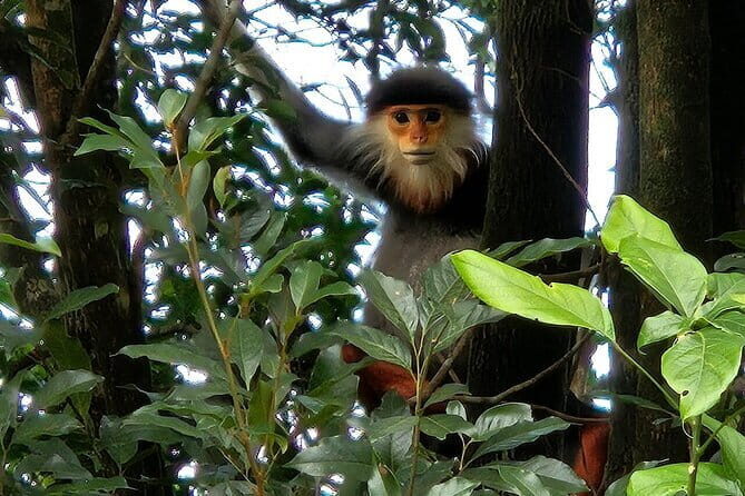 Bach Ma National Park Trekking Tour: Explore from Hue - Who Will Love This Tour?