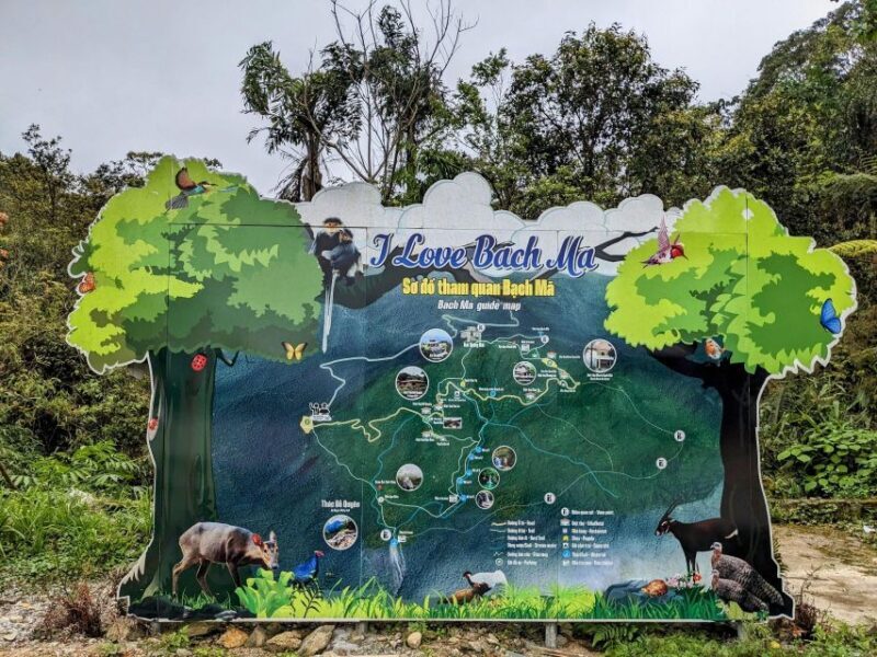 Bach Ma National Park Trekking Tour : Hoi An / Da Nang / Hue - What the Tour Really Looks Like: A Deep Dive