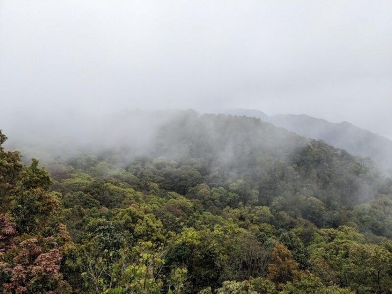 Bach Ma National Park Trekking Tour : Hoi An / Da Nang / Hue - Final Thoughts: Is It Worth It?