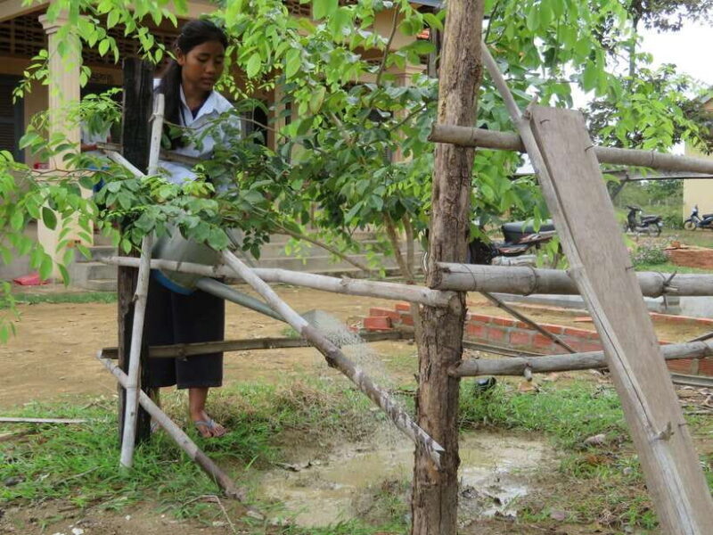 Back to Basics: Village Life Tour from Siem Reap - An Authentic Look at Rural Cambodia
