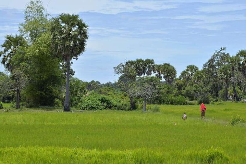 Back to Basics: Village Life Tour from Siem Reap - What Makes This Tour Stand Out?