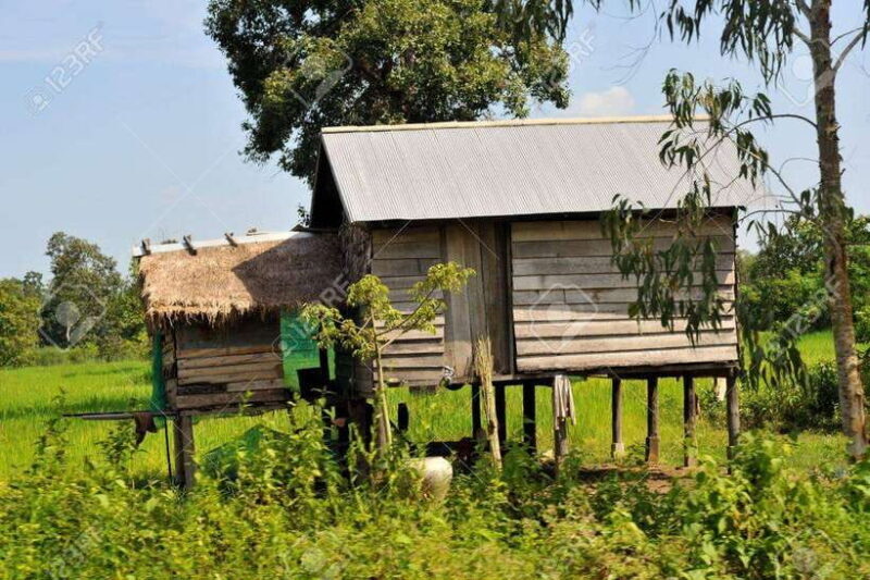 Back to Basics: Village Life Tour from Siem Reap - Reviews in Their Own Words