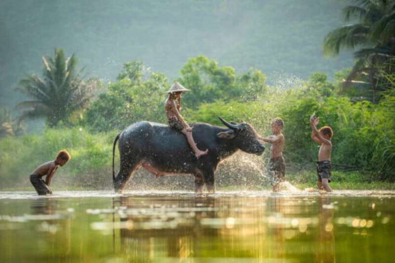 Back to Basics: Village Life Tour from Siem Reap - FAQ