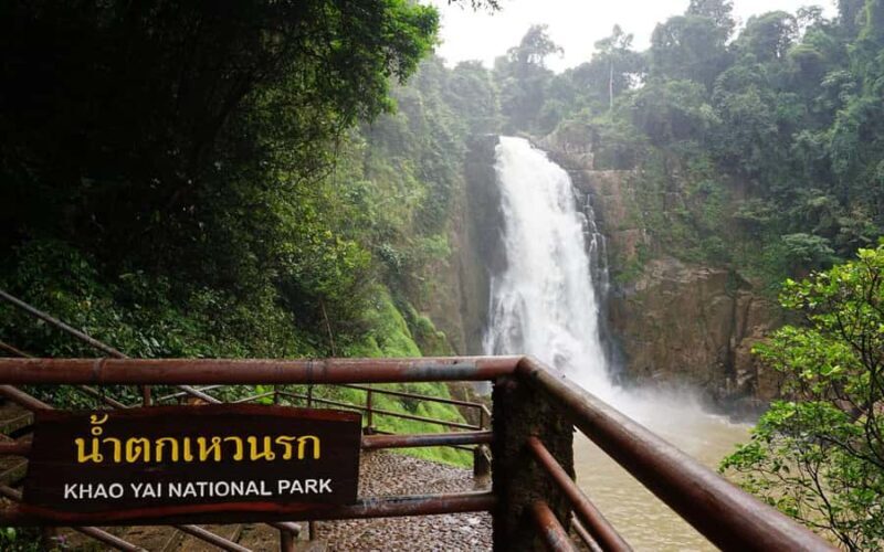 Back to Nature Trekking and Hiking at Khao Yai National Park - Exploring Khao Yai with a Skilled Guide